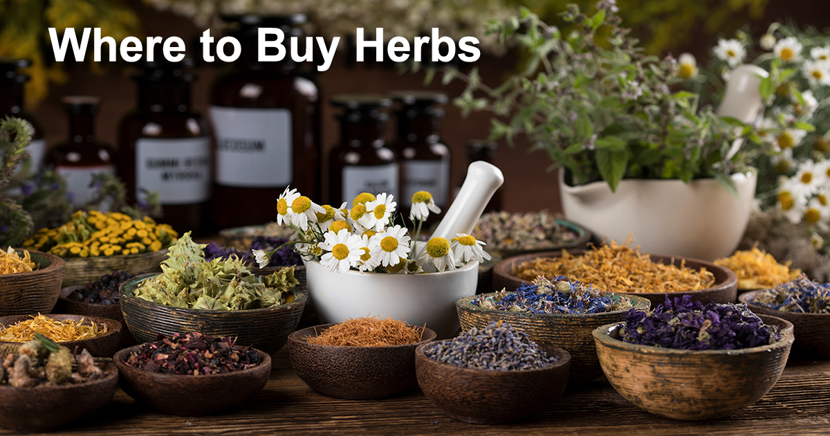 Where to Buy Herbs?